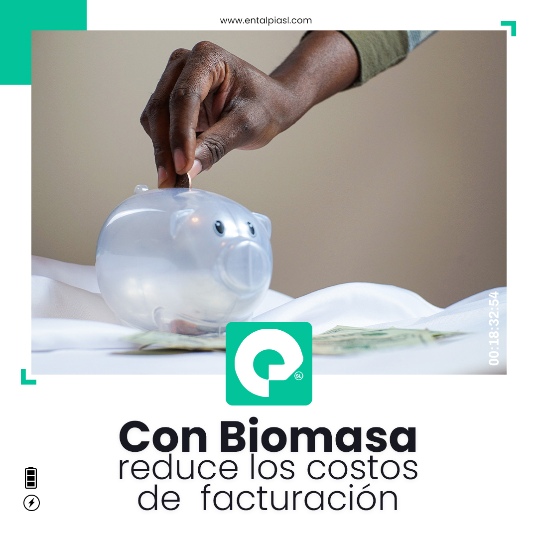 Biomasa - Energía Renovable - Entalpia SL